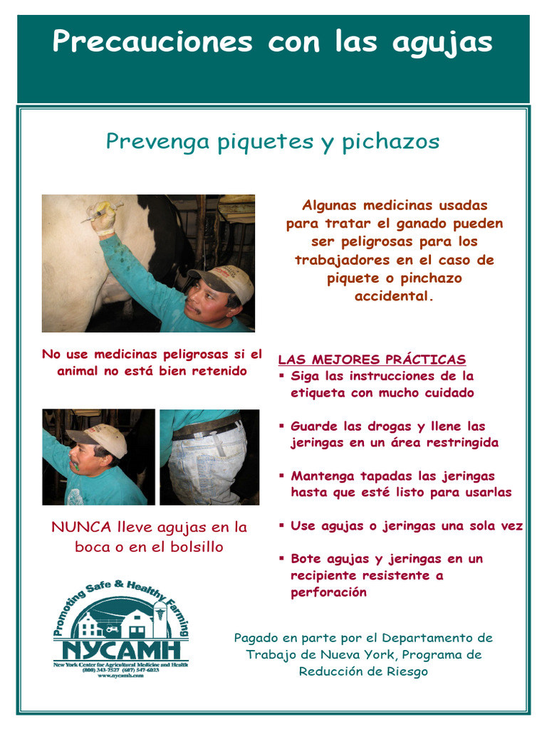 Needle Sticks Big Spanish | PDF