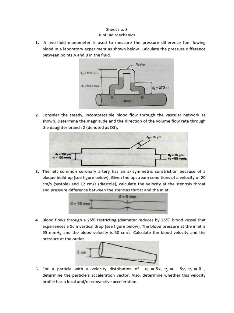 Sheet No.3 Biofluid Mechanics | PDF