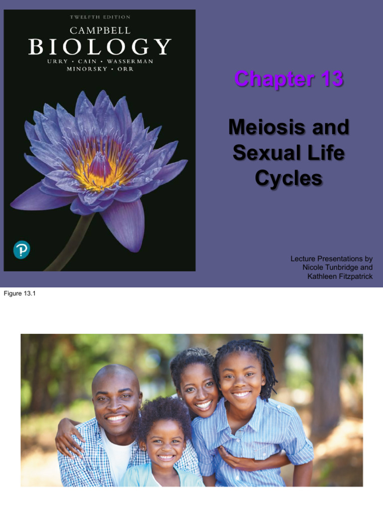 Meiosis and Sexual Life Cycles | PDF | Meiosis | Ploidy