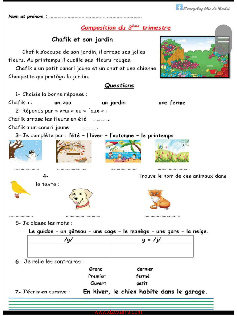 Dzexams 3ap Francais 329747 | PDF