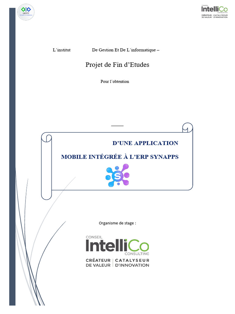 Rapport de Stage v1.1.6 | PDF | Développement de logiciel | Application web