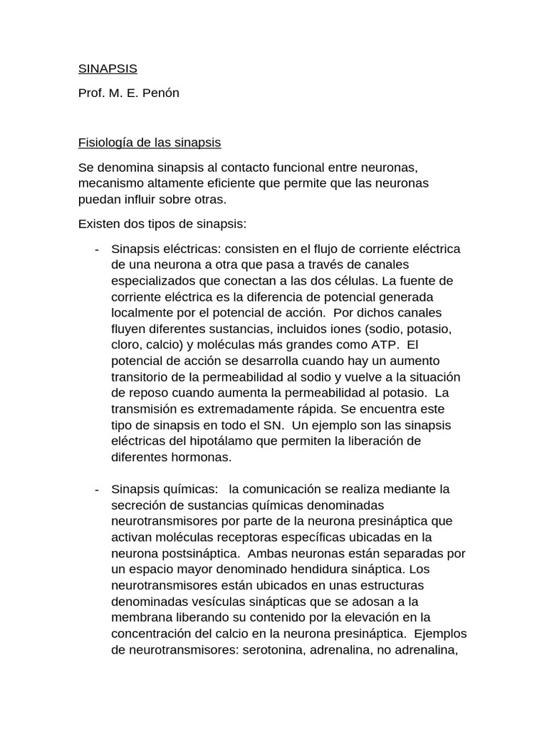 Fisiologia de Las Sinapsis | PDF