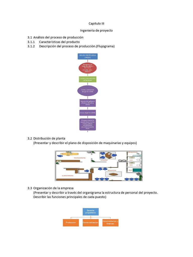 Estructura Del Capitulo III Ingenieria de Proyecto (1) | PDF