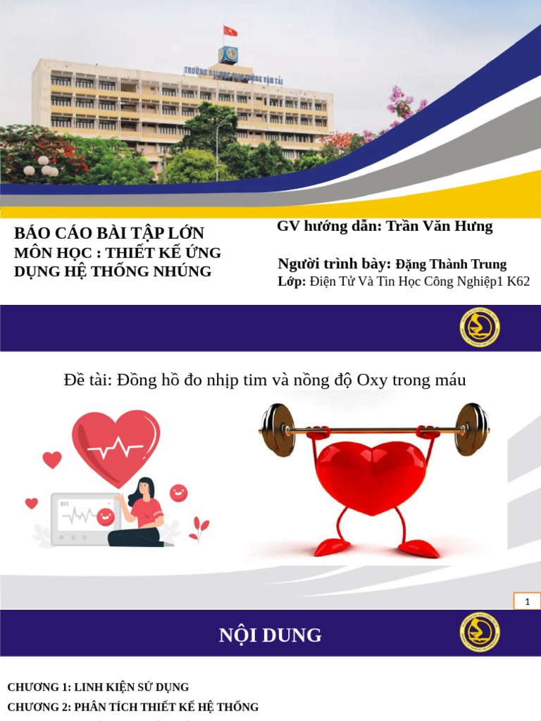 Báo Cáo BTL Nhúng | PDF