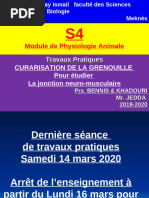 Les Curares | PDF | Acétylcholine | Synapse