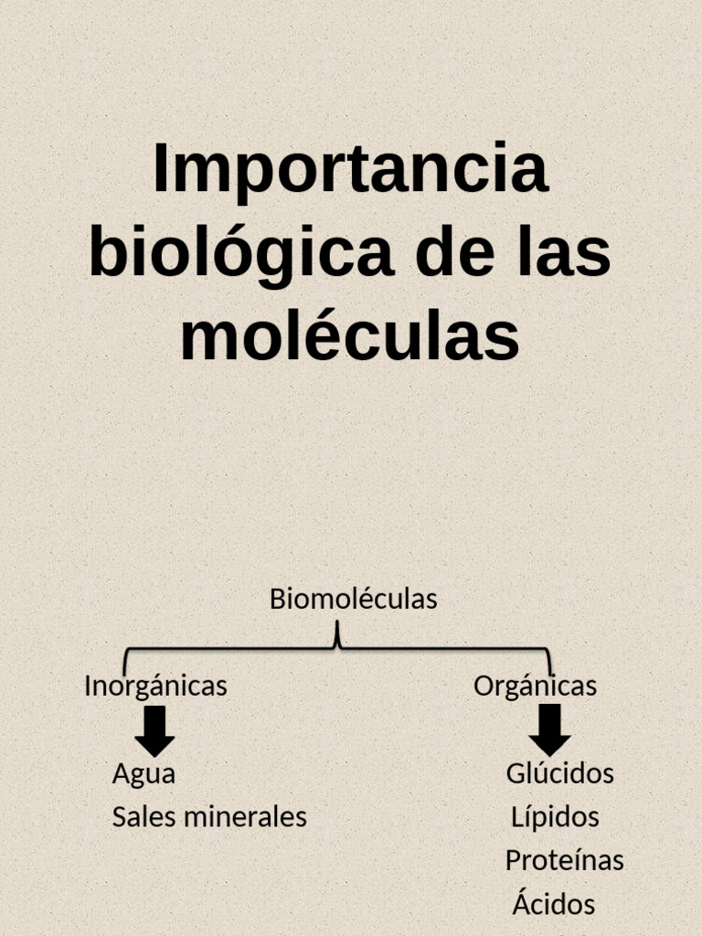 Importancia Biolã Gica de Las Molã©culas | PDF