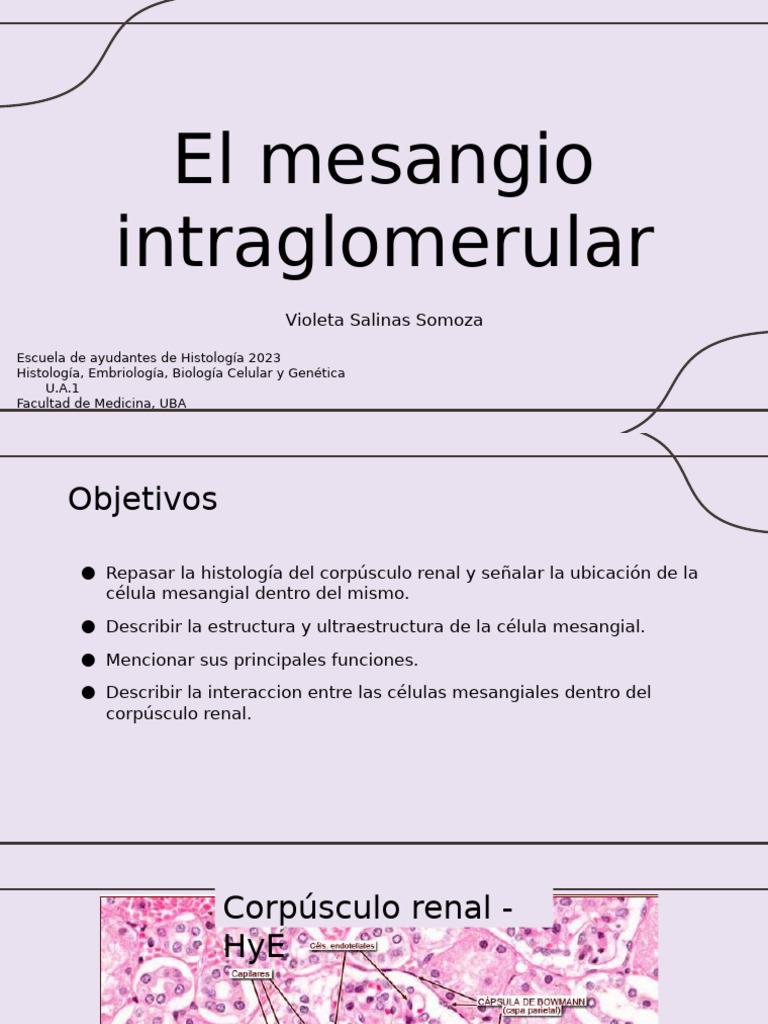 Me Sangio | PDF | Biología | Riñón