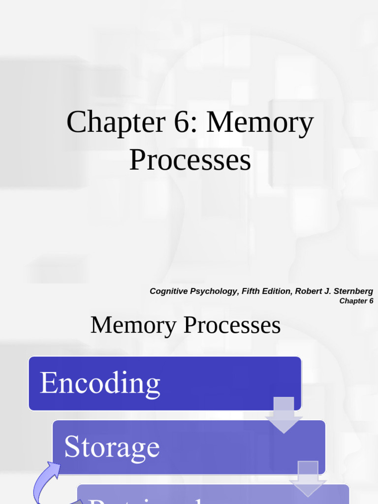 Lesson 5memory Processes | PDF | Recall (Memory) | Memory
