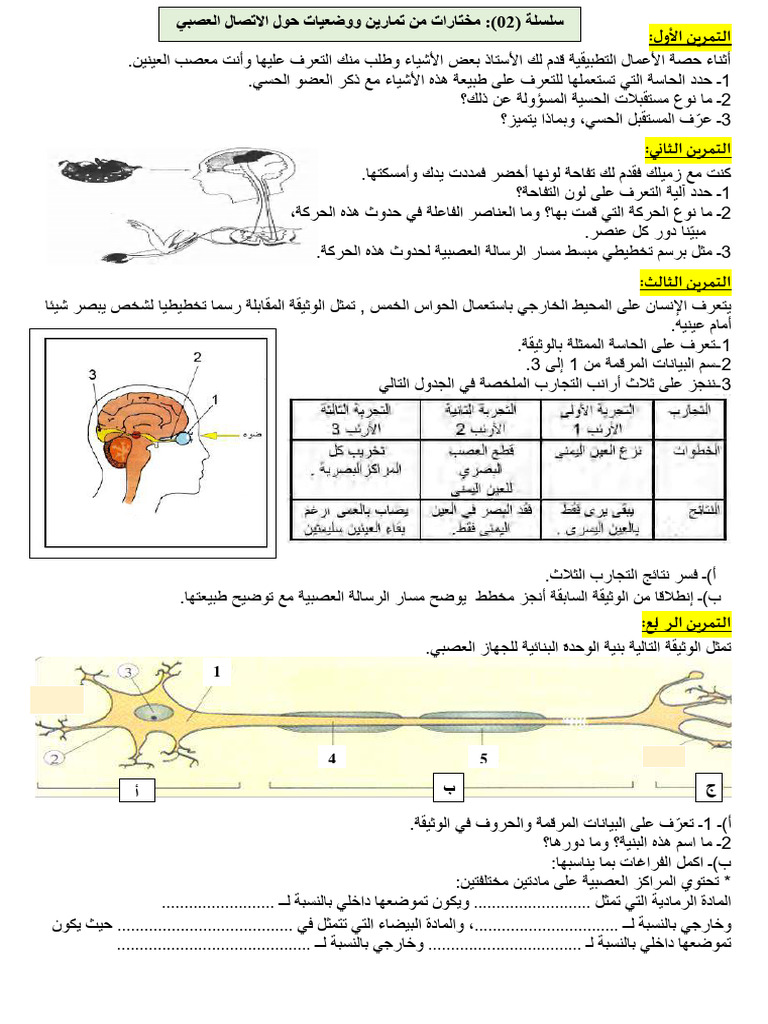 dzexams-docs-4am-905748 | PDF