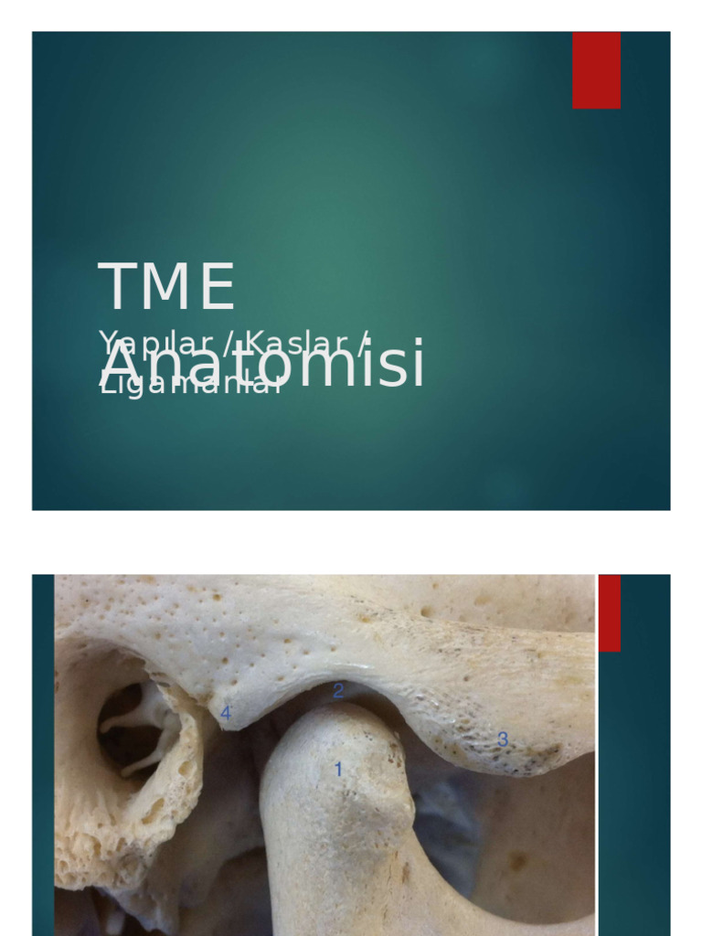 4_TME | PDF