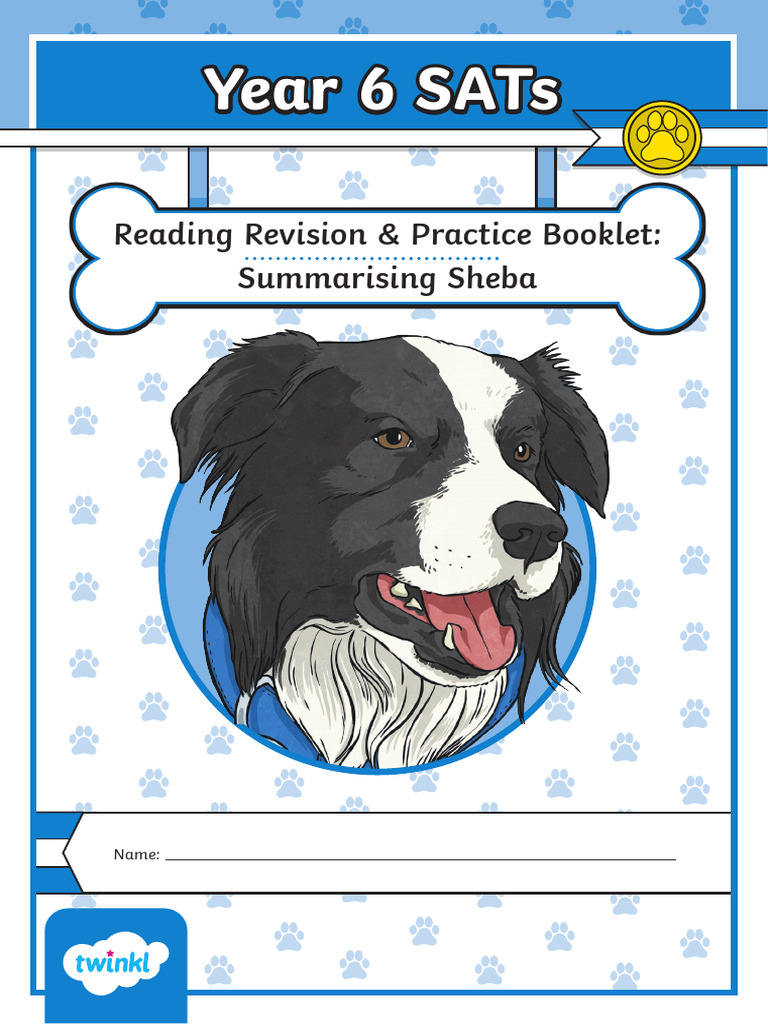t2 e 41828 Year 6 Sats Survival Reading Revision Ampamp Practice ...