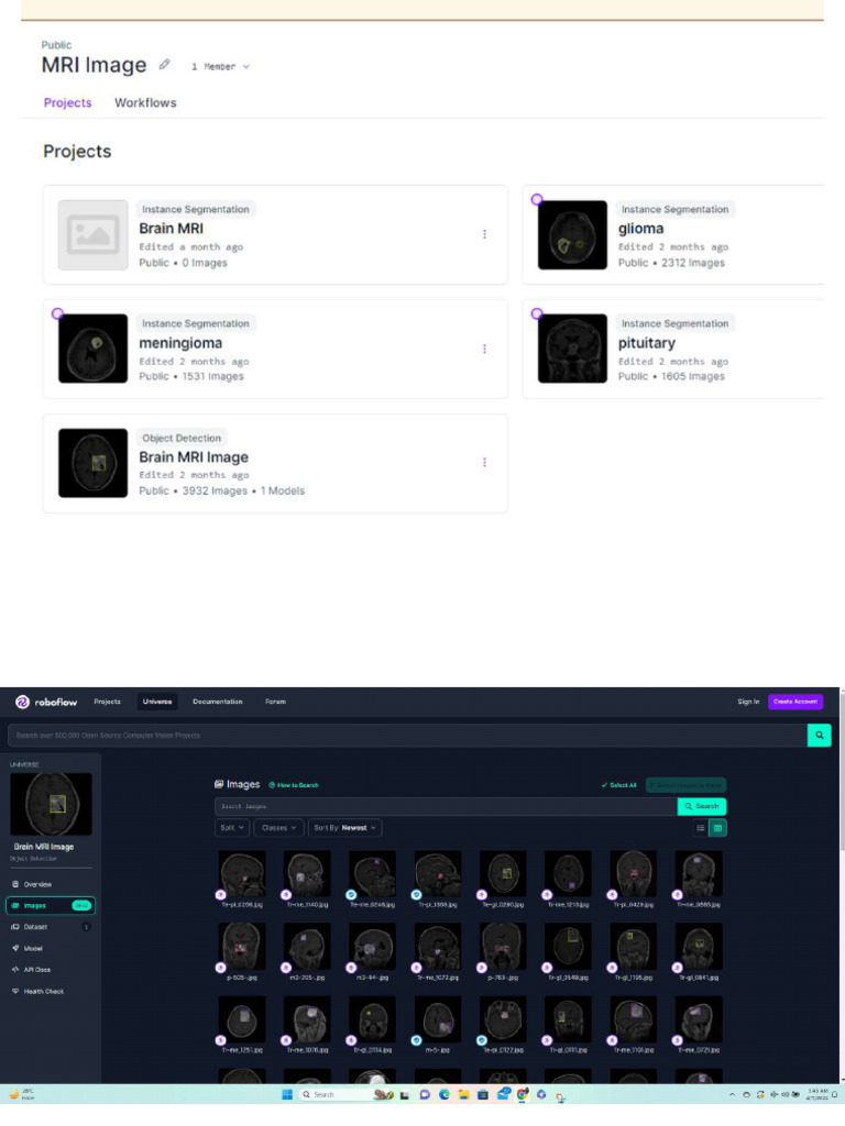 Roboflow Project | PDF