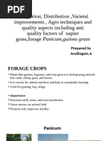 Classification of Roughages | PDF | Dietary Fiber | Diet & Nutrition