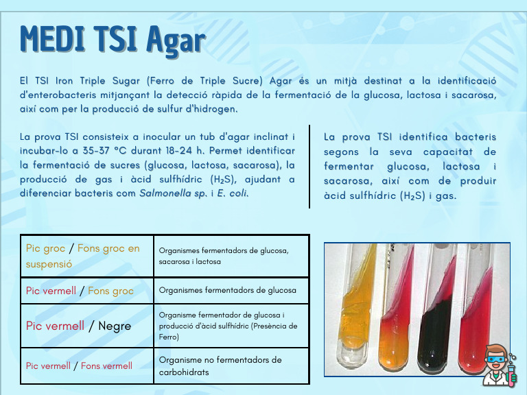 MEDI TSI Agar | PDF