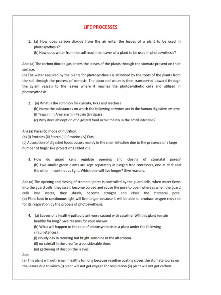 LP | PDF