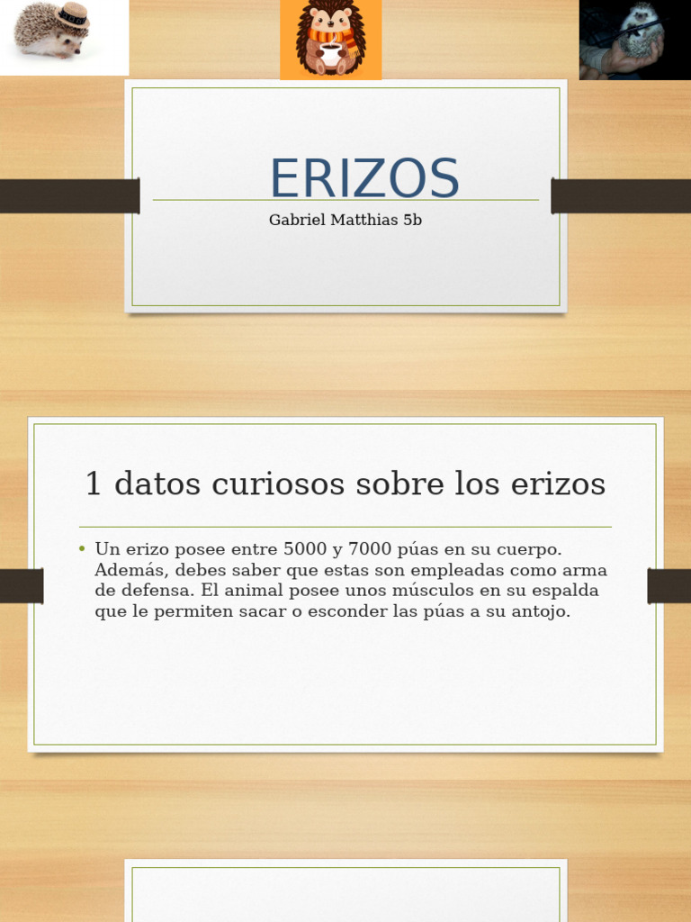 ERIZOS | PDF