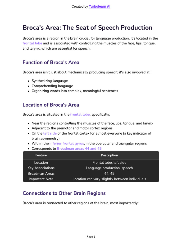 Broca's Area: Speech Production Explained | PDF | Aphasia | Speech