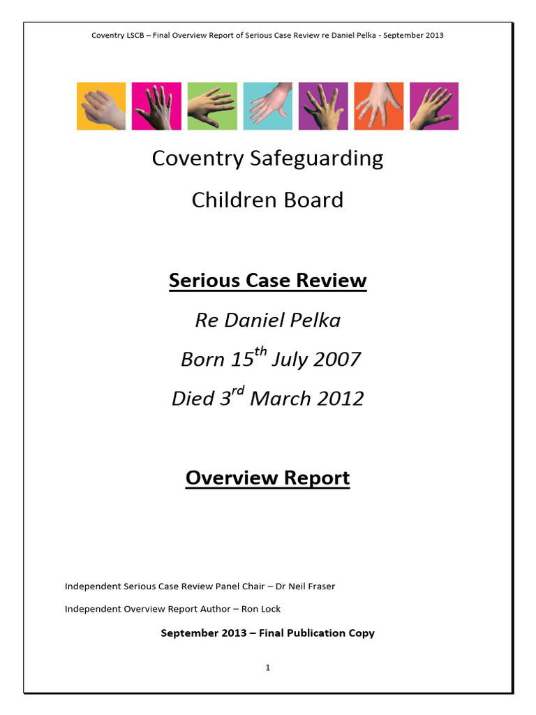 FINAL Overview Report DP 130913 Publication Version Daniel Pelko | PDF | Domestic Violence