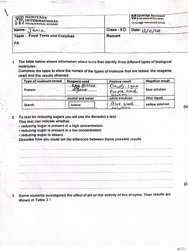 Food Tests and Enzymes Experiment Worksheet | PDF