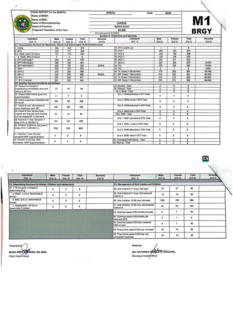 1.1 FHSIS M1 Child Care | PDF