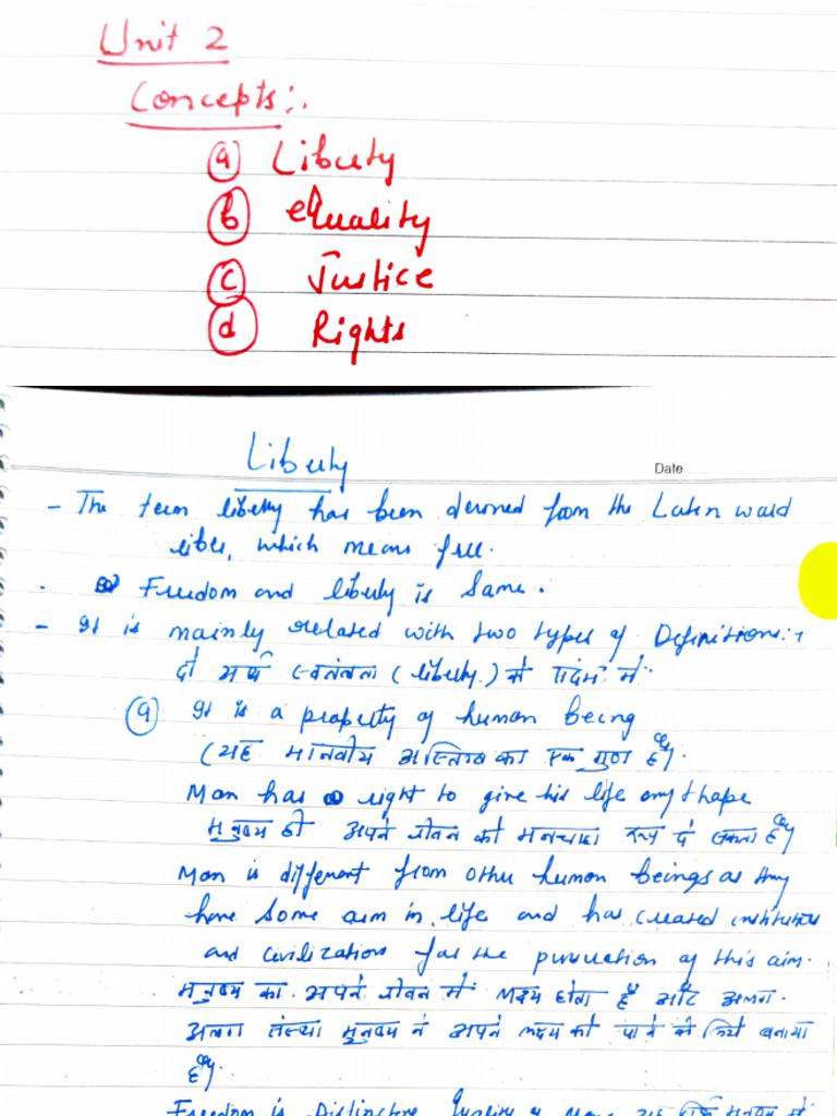 Liberty and Individual Rights Analysis | PDF