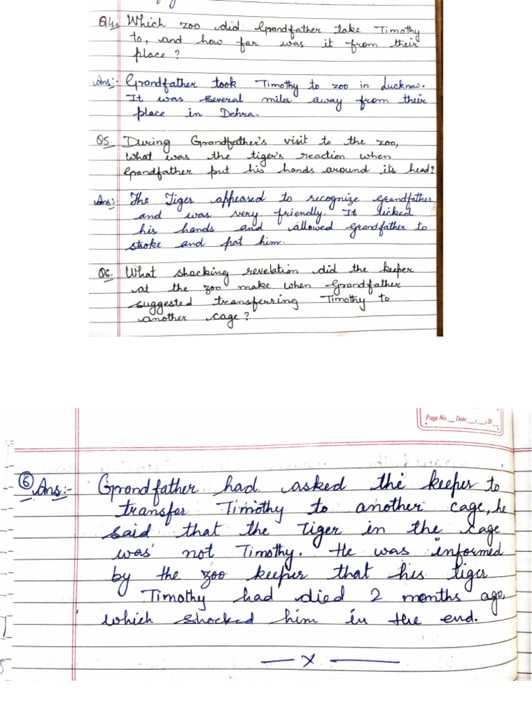 Eng. Class 5, Ch-2 Timothy and Grandfather... Q (4-6) . | PDF