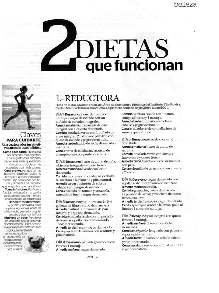 Dieta Reductora y Dieta Depurativa | PDF