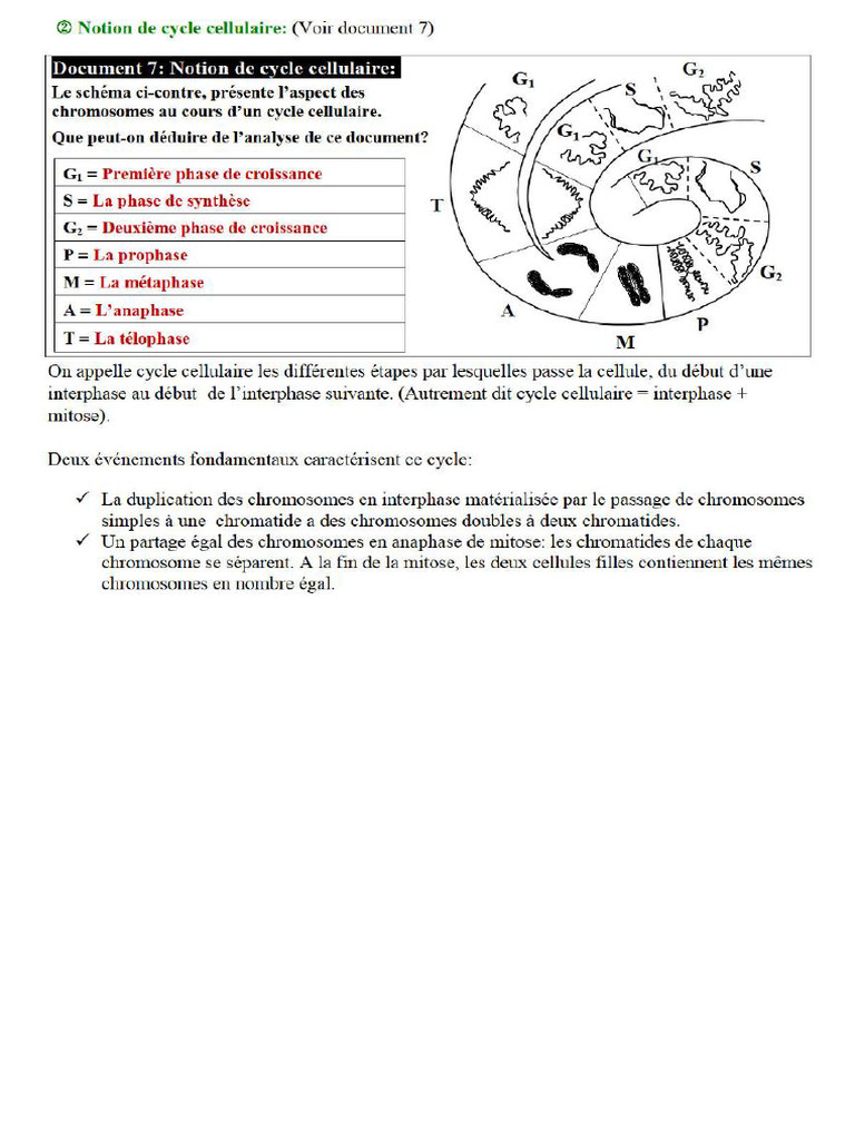 séquence3 le cycle cellulaire | PDF