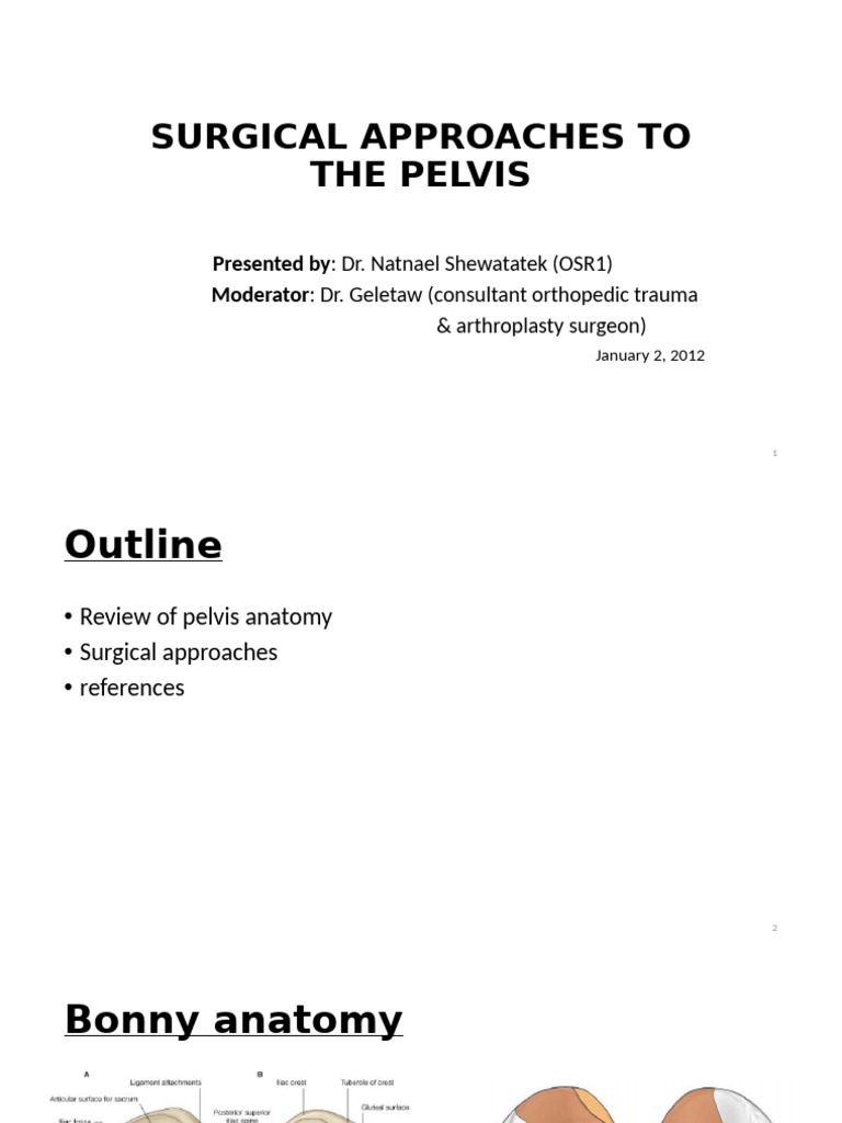 Surgical Approaches To The Pelvis | PDF | Pelvis | Musculoskeletal System