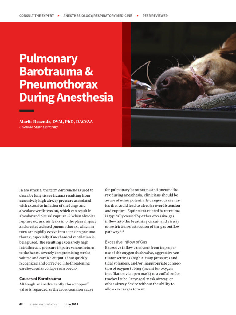 Pulmonary Barotrauma in Anesthesia | PDF | Lung | Breathing