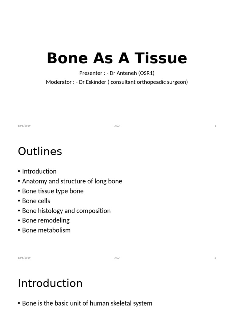 Bone As A Tissue Pptx Ant Pdf Bone Osteoblast