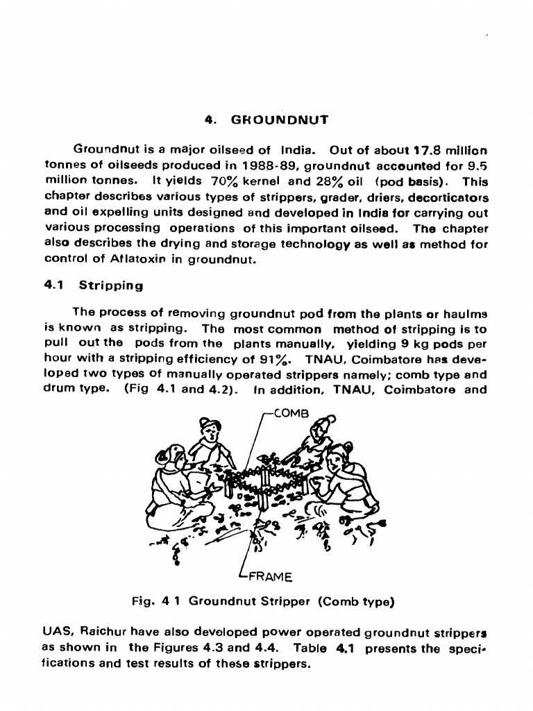 Groundnut Oil Processing | PDF | Peanuts