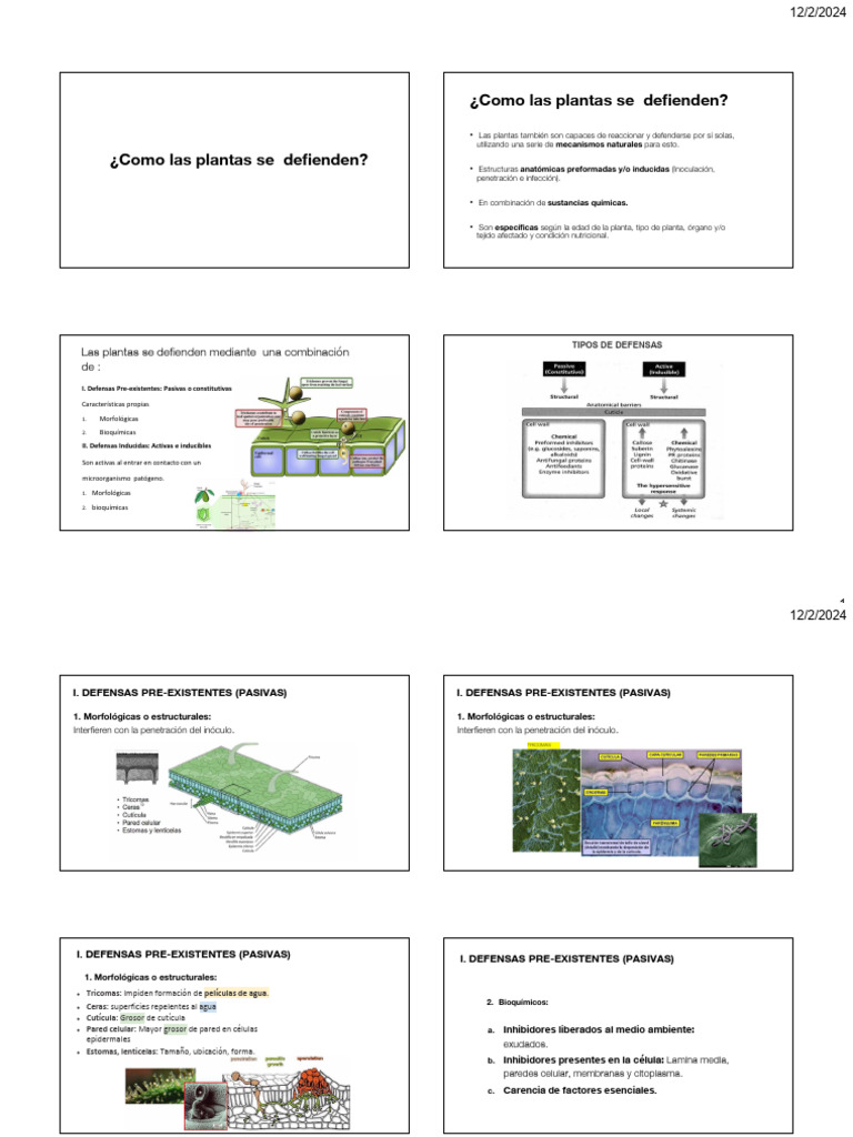 C3_Mecanismo de Defensa | PDF | Pared celular | Biología Celular)