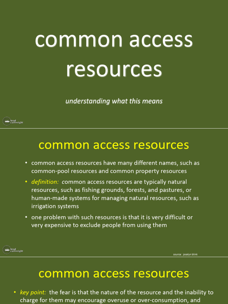 Common Access Resources PDF | PDF