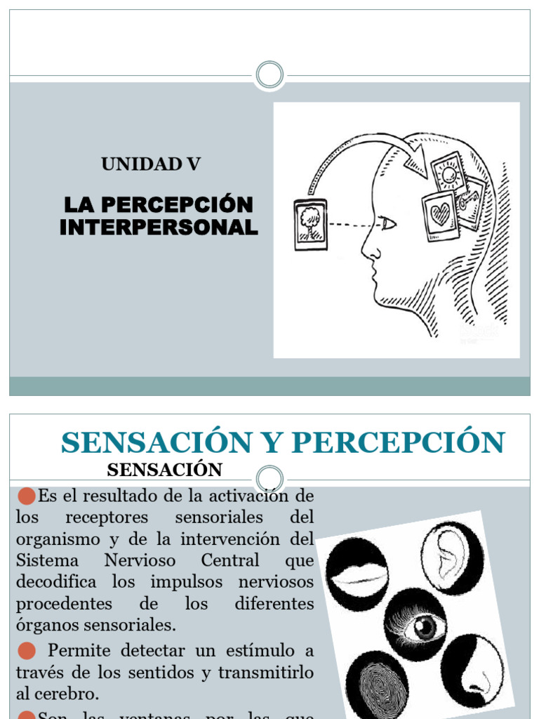 Wa0003. | PDF | Percepción | Sentidos