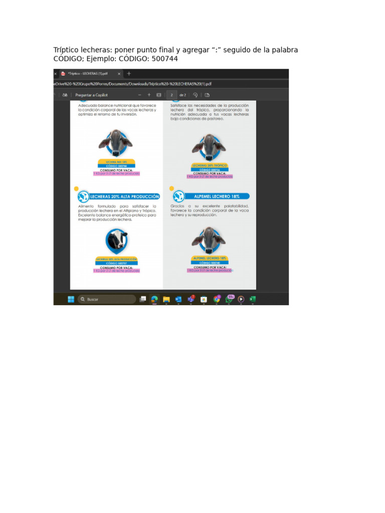 Observaciones Tripticos | PDF
