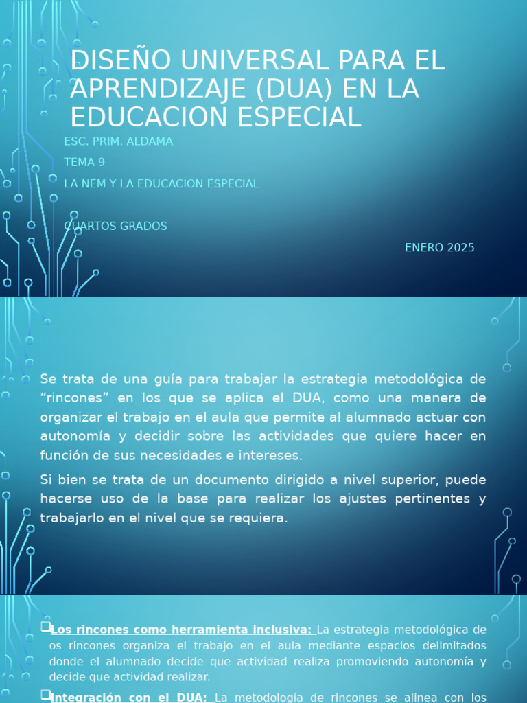 DISEÑO UNIVERSAL PARA EL APRENDIZAJE (DUA) | PDF