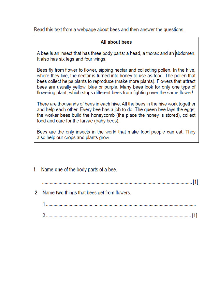 Grade 4 Work | PDF