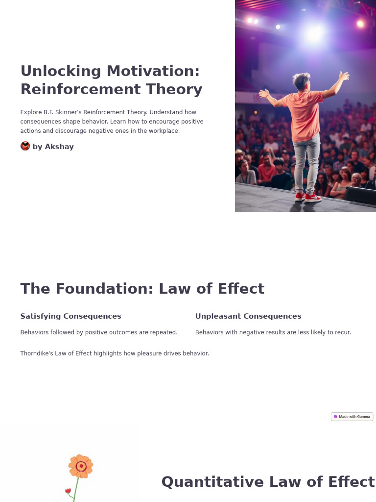 Unlocking Motivation Reinforcement Theory | PDF