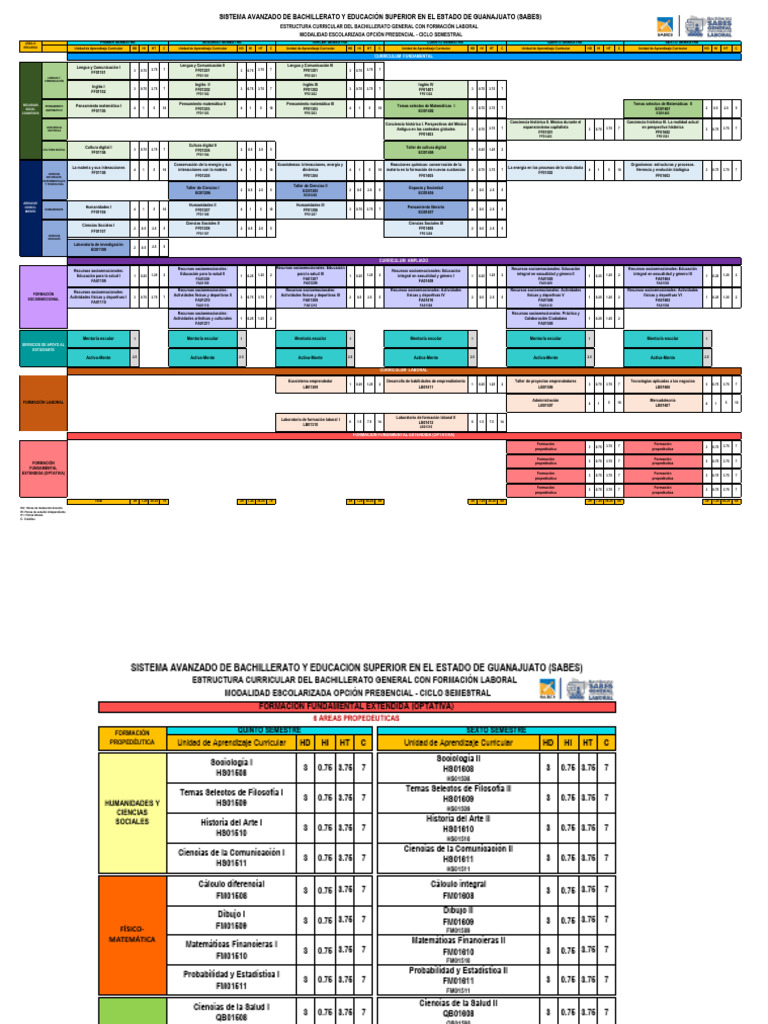 Estructura Curricular BGFL | PDF | Importar | Science