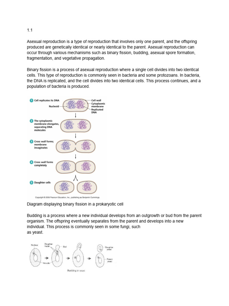 Module 3 Unit 1 Biology | PDF | Luteinizing Hormone | Menstrual Cycle