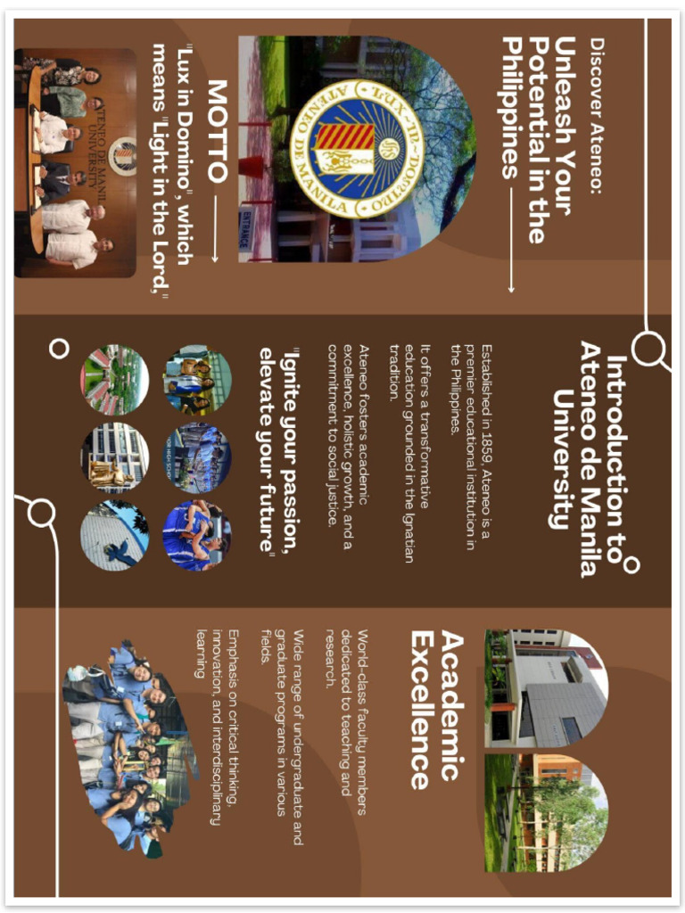 UCSP Brochure Activity Example | PDF