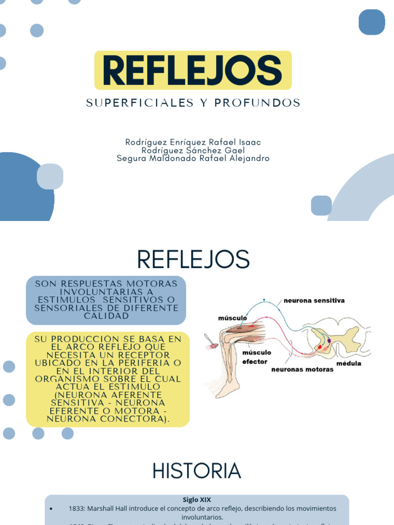 REFLEJOS | PDF | Codo | Neurona