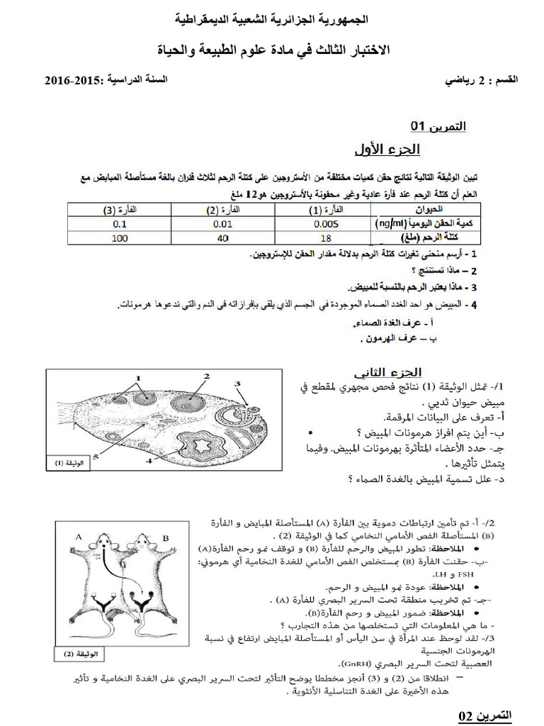 Dzexams 2as Sciences 669378 | PDF