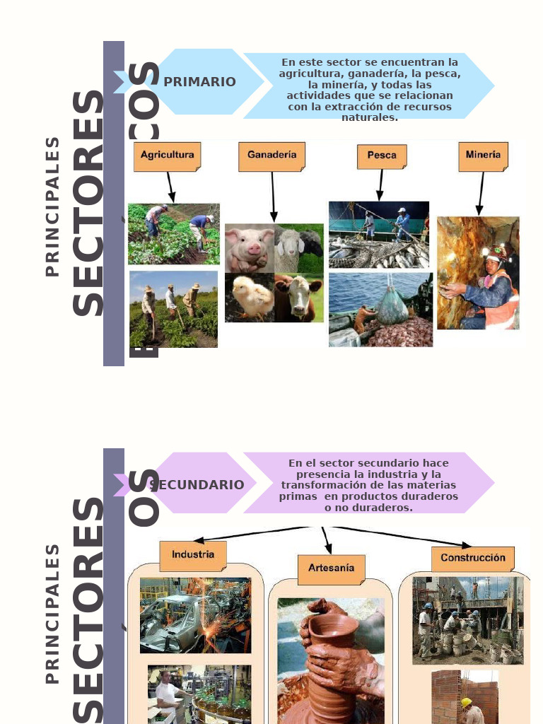 Sectores Economicos | PDF
