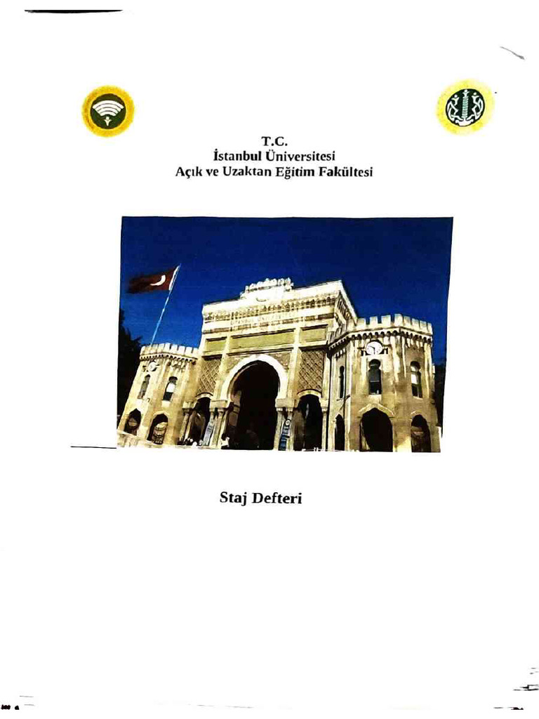 Staj Ornek | PDF