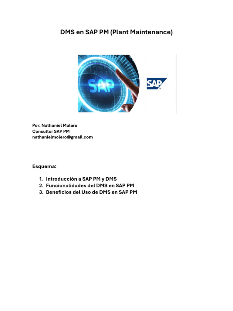 DMS en SAP PM | PDF | Control de versiones | Información