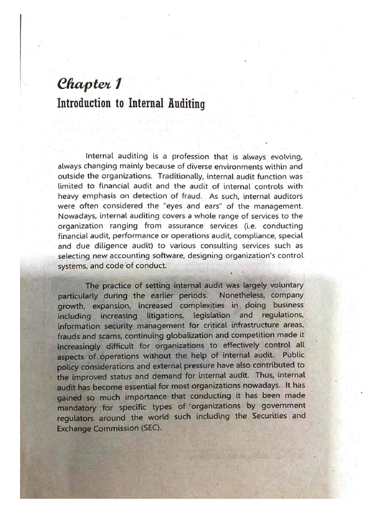 Internal Auditing Unit 1 | PDF