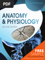 Skeletal System Anatomy Lecture PDF | PDF | Bone | Skeleton