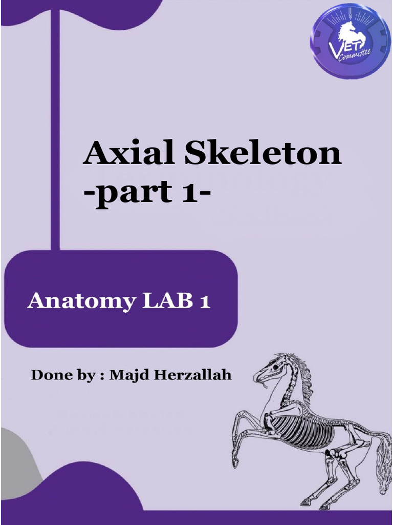LAB4 Axial Skeleton Part 1 - Lajna | PDF